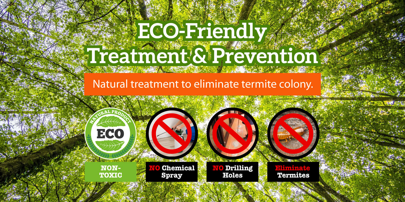 Biotermitescontrol & Home